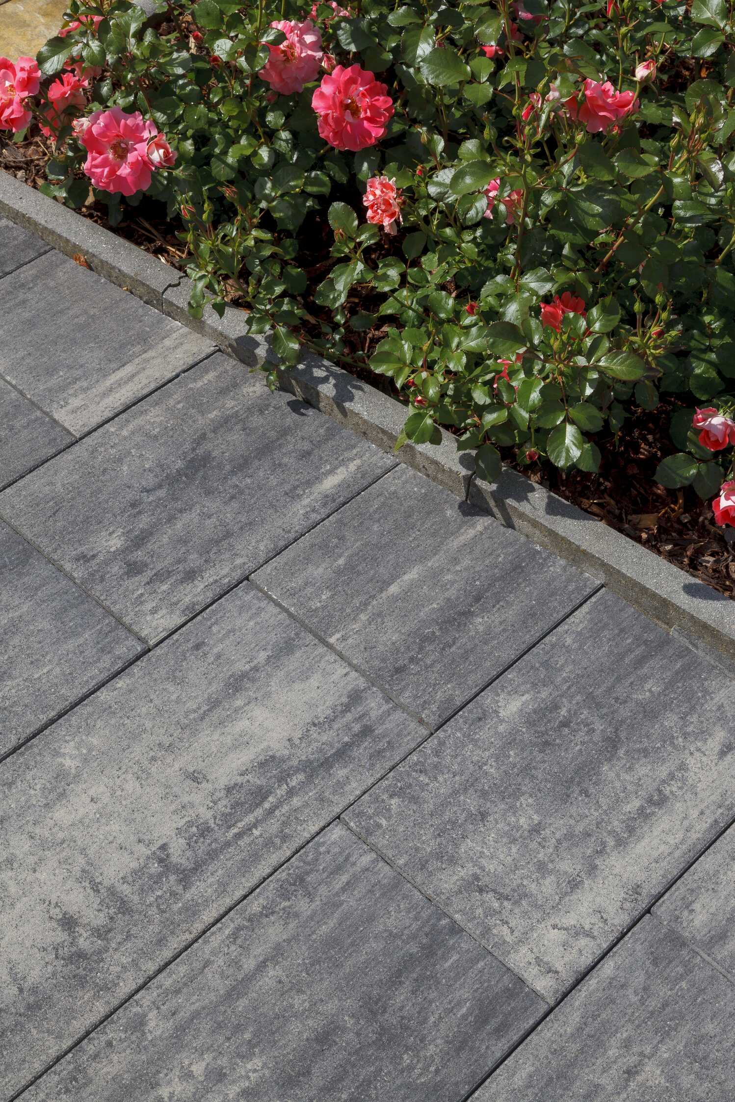 BEST - BELEZA COLORMIX BRILANT | BEST