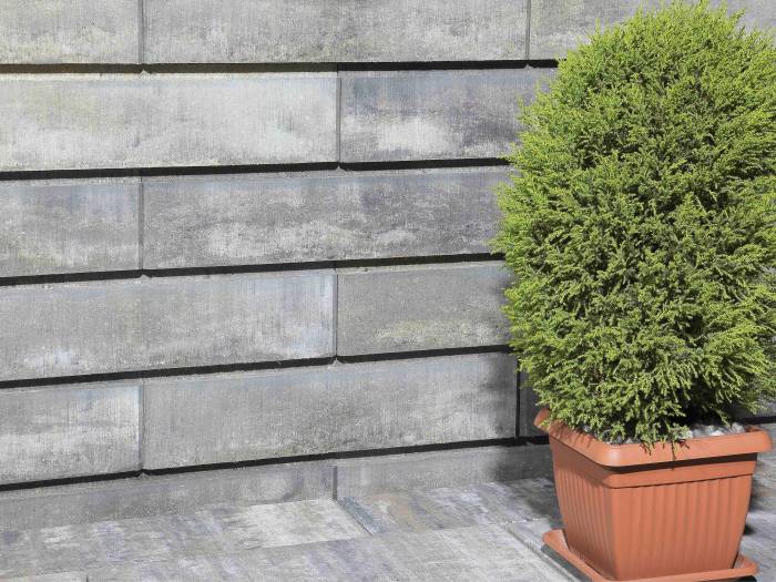 BEST MAESTRA III COLORMIX ARABICA | BEST